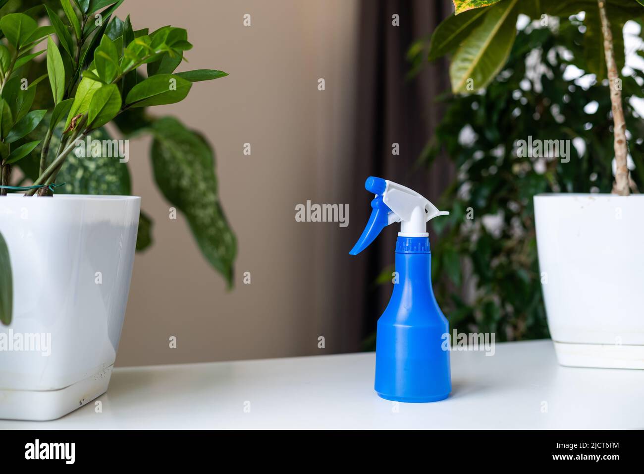 Potted houseplands, sprayer on gray background. Collection of various ...