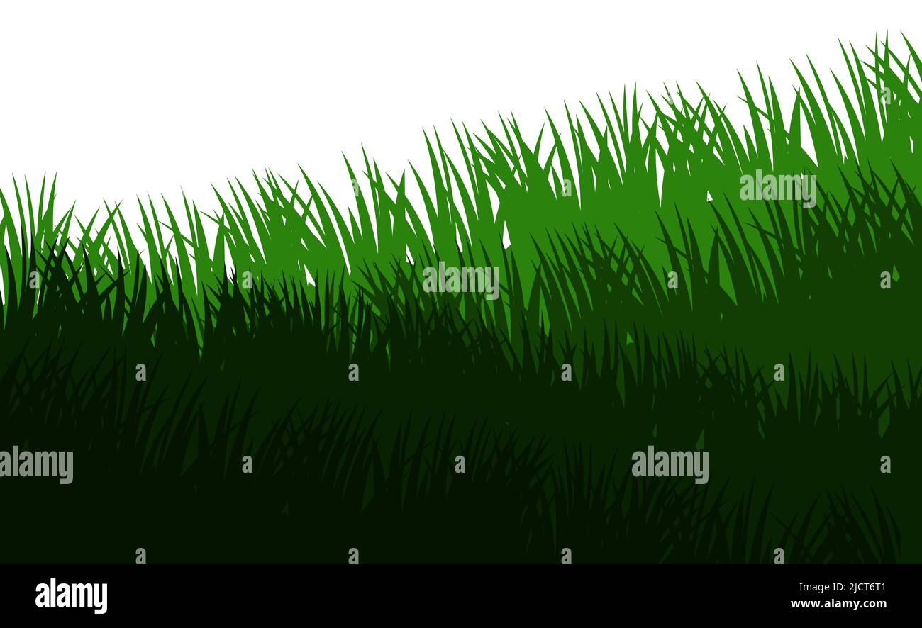 Grass. Nature rural landscape. Pasture overgrown. Overgrown dense lawn ...