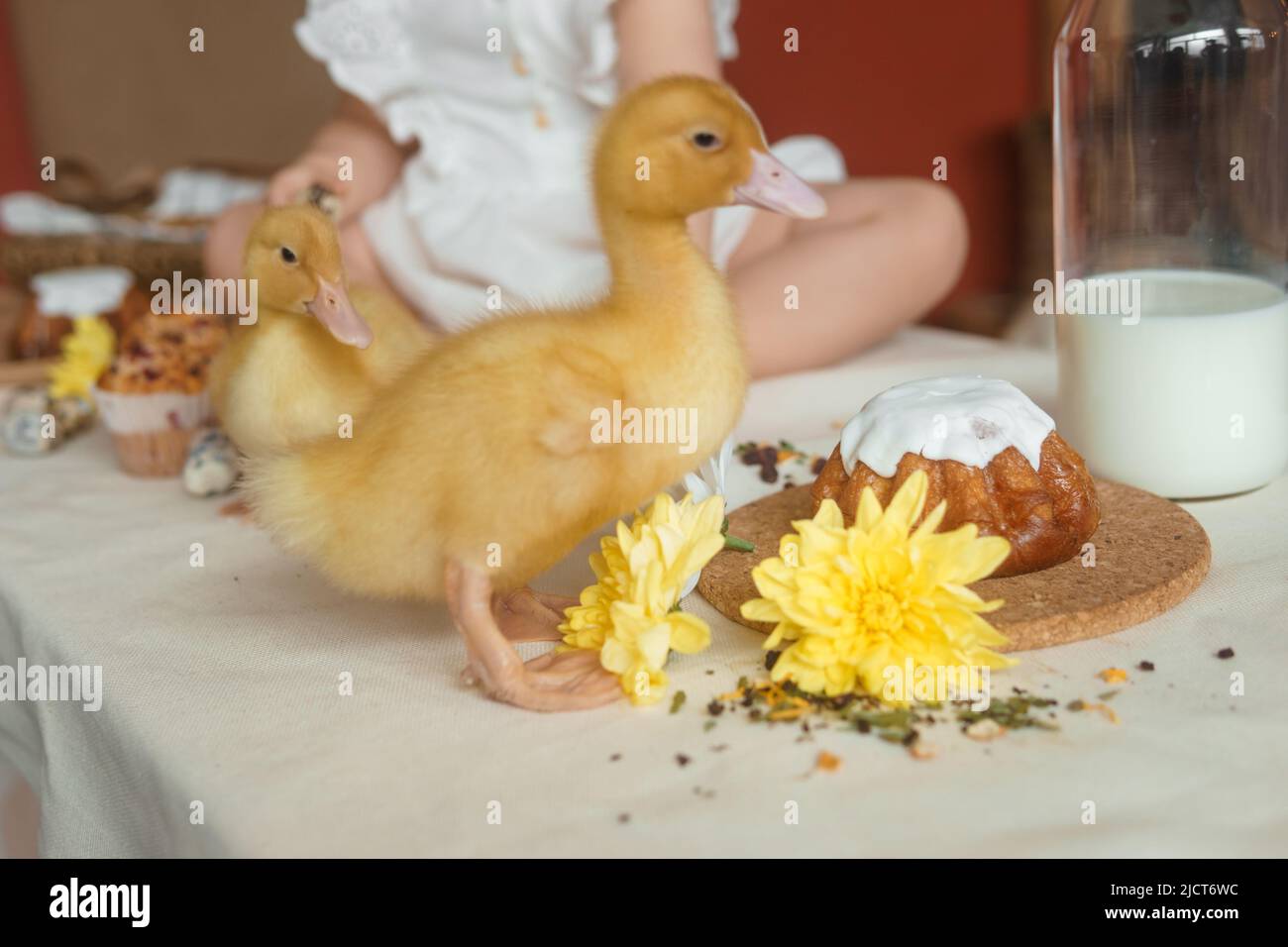Cute fluffy ducklings on the Easter table with quail eggs and Easter ...