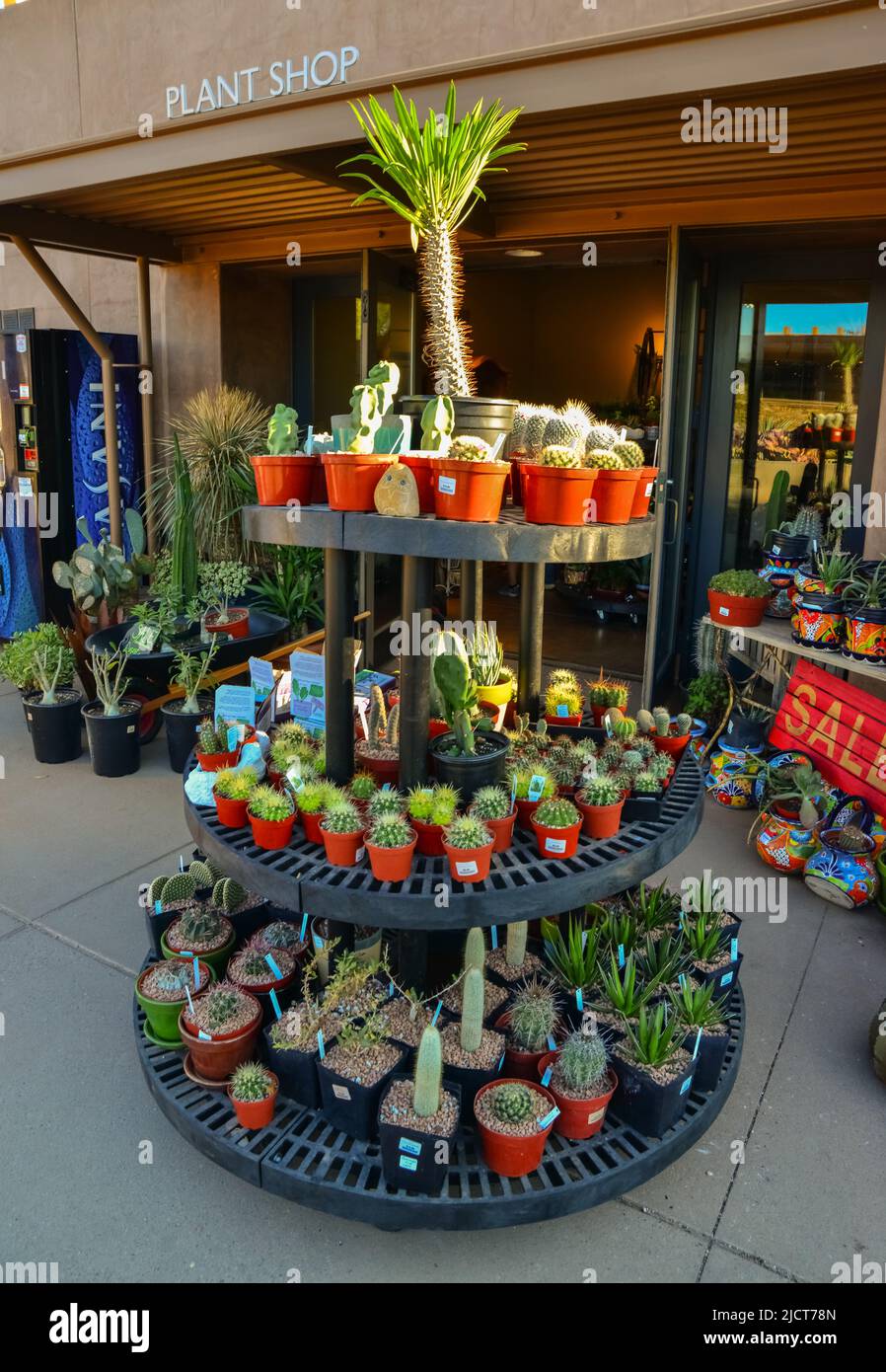 USA, PHENIX, ARIZONA- NOVEMBER 17, 2019: a shop selling different types ...