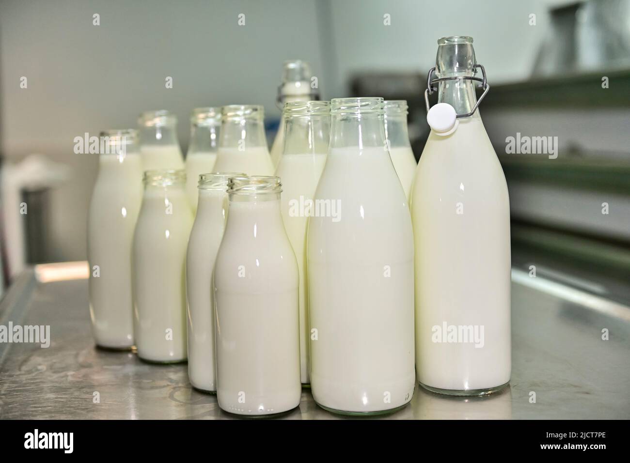Glass bottles, filled with fresh goat's milk Stock Photo - Alamy