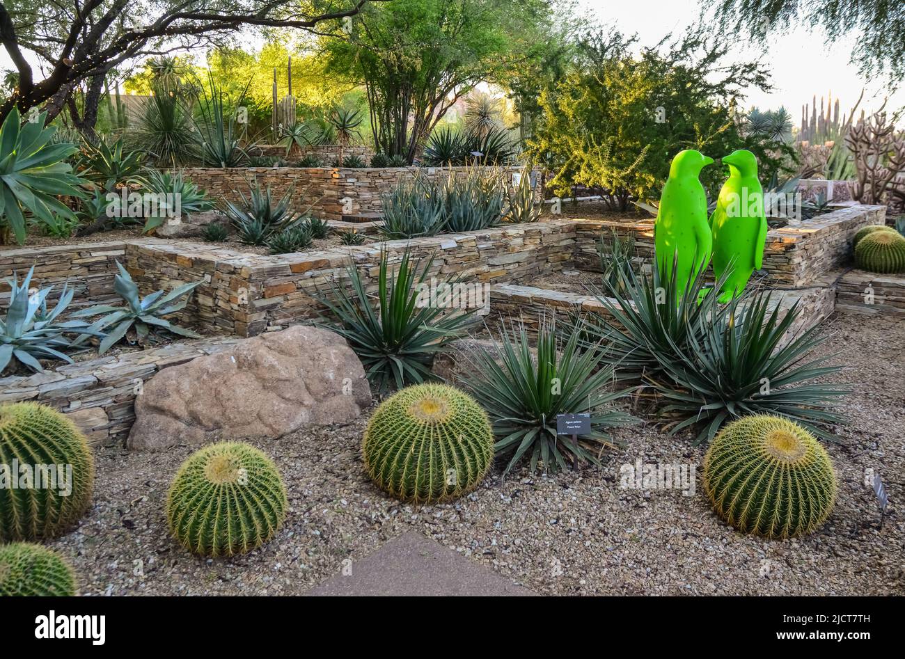 USA, PHENIX, ARIZONA- NOVEMBER 17, 2019: multi-colored plastic animal ...