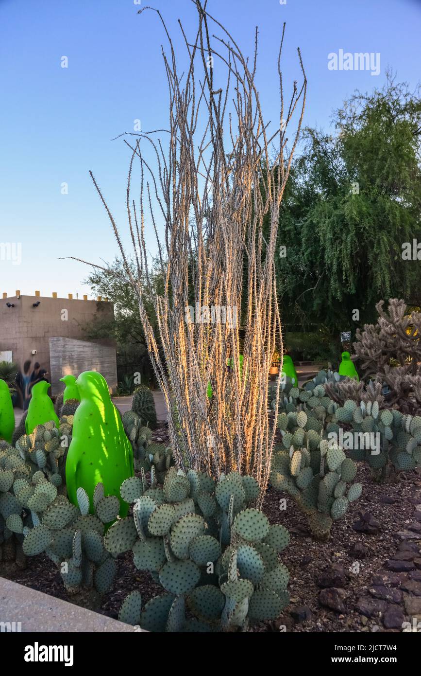USA, PHENIX, ARIZONA- NOVEMBER 17, 2019: multi-colored plastic animal ...