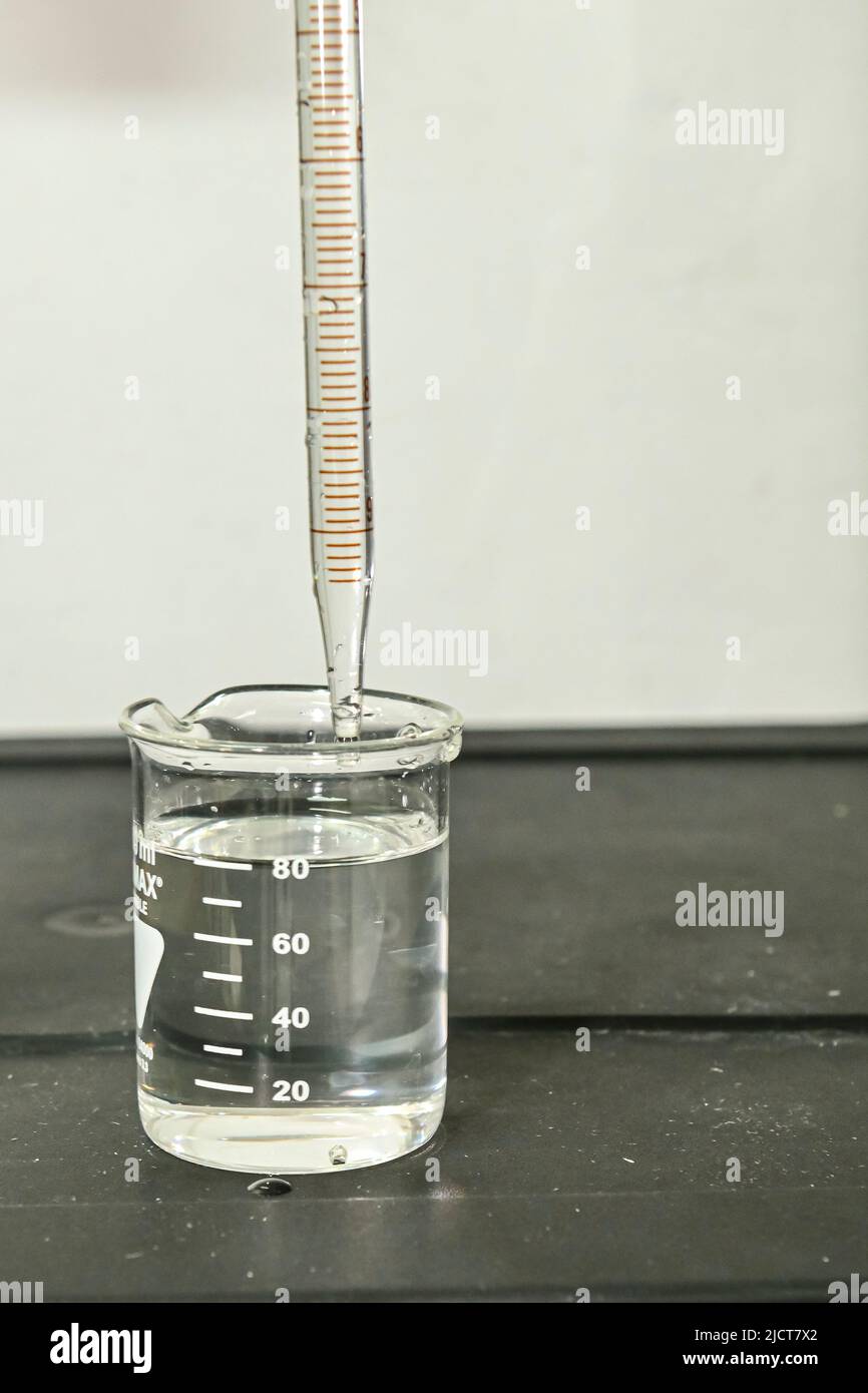 cheesemaker takes with the hand test tube with the curd for the ...