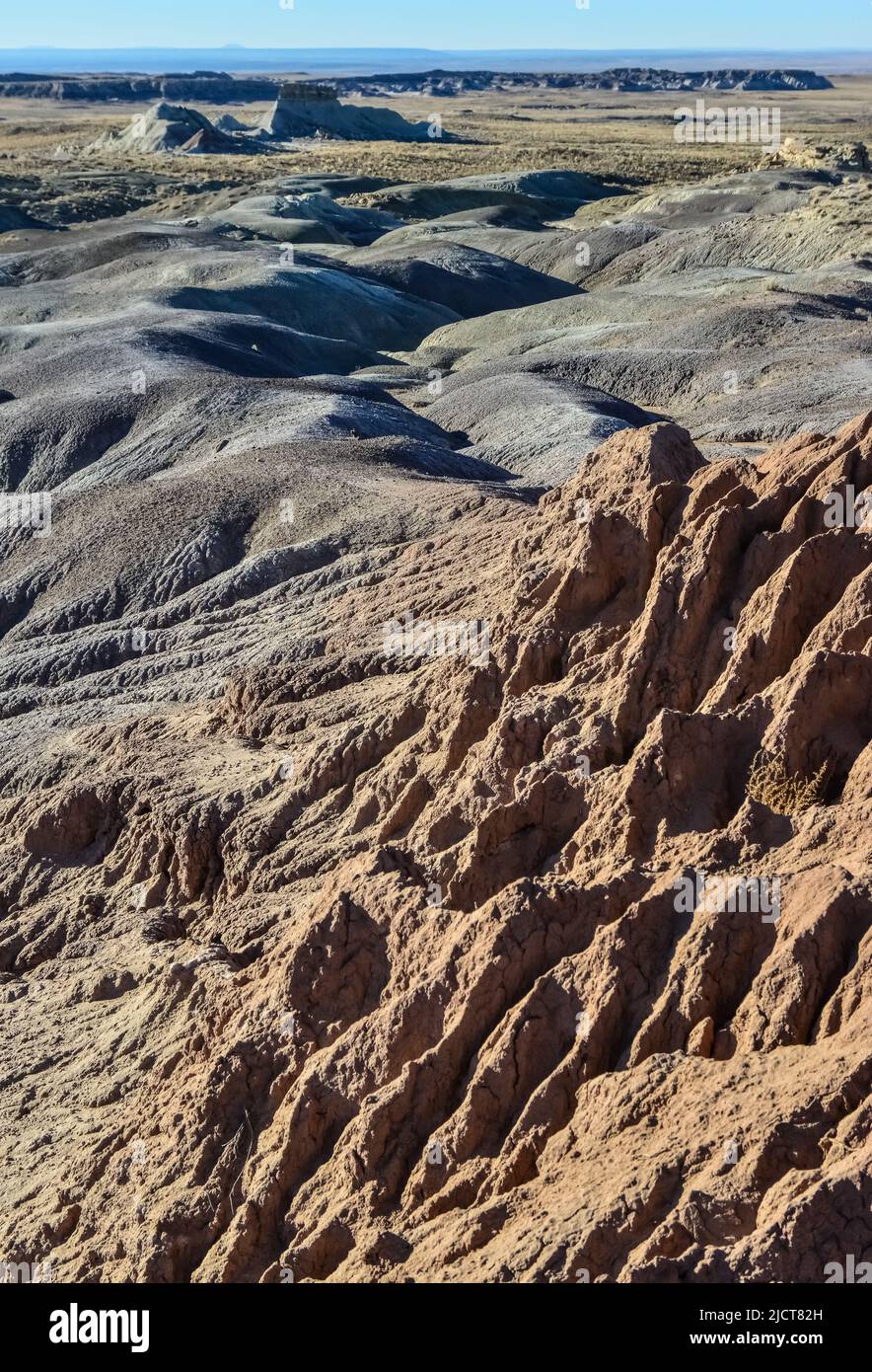 Landscape, panorama of erosive multi-colored clay in Petrified Forest ...