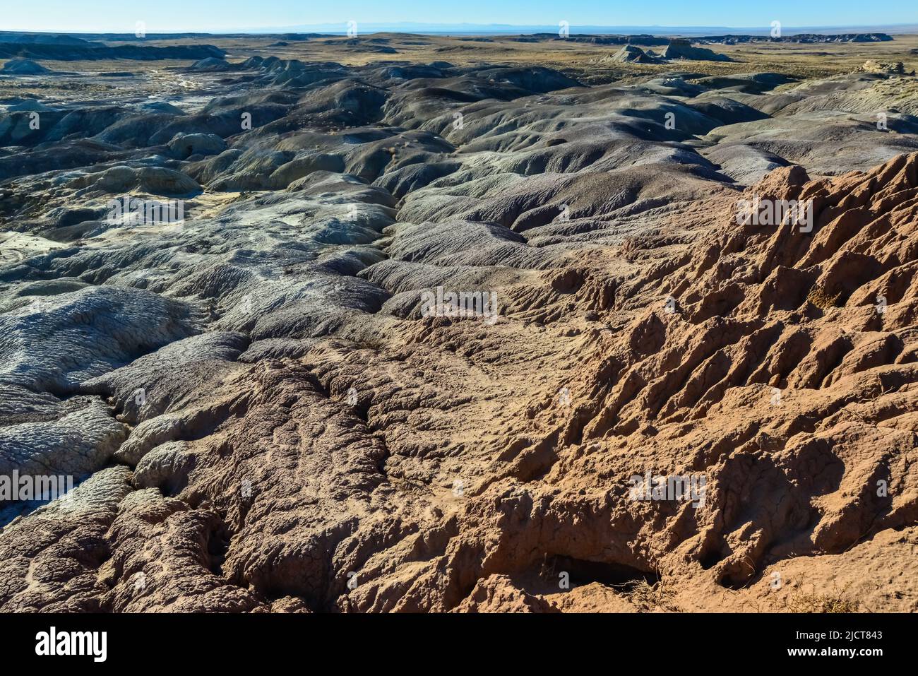 Landscape, panorama of erosive multi-colored clay in Petrified Forest ...