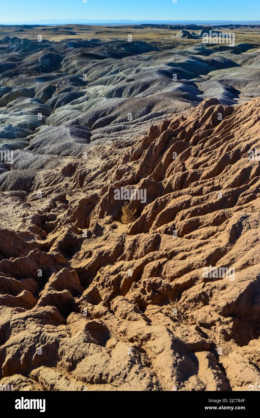 Landscape, panorama of erosive multi-colored clay in Petrified Forest ...