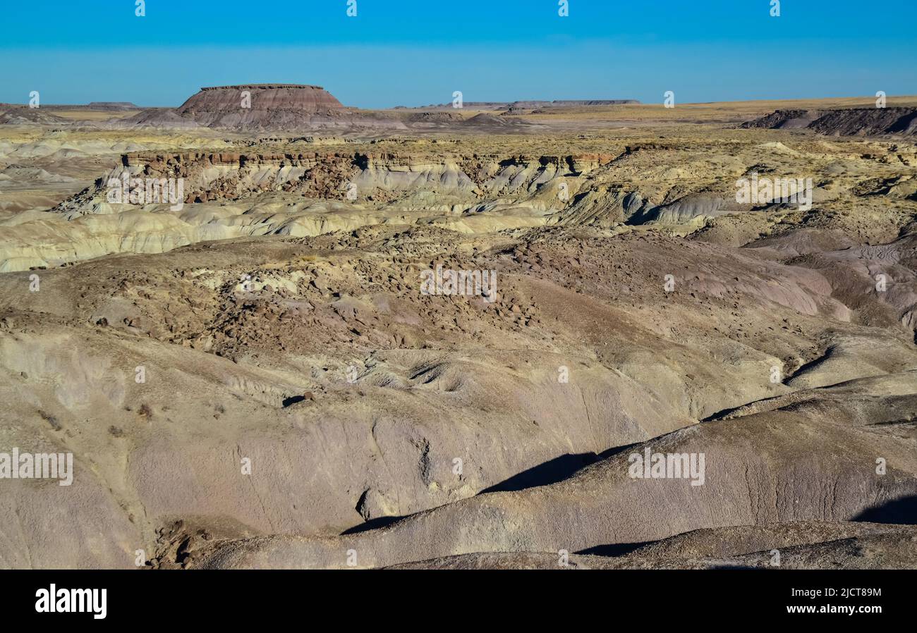 Landscape and panorama of erosive multi-colored clay in Petrified ...