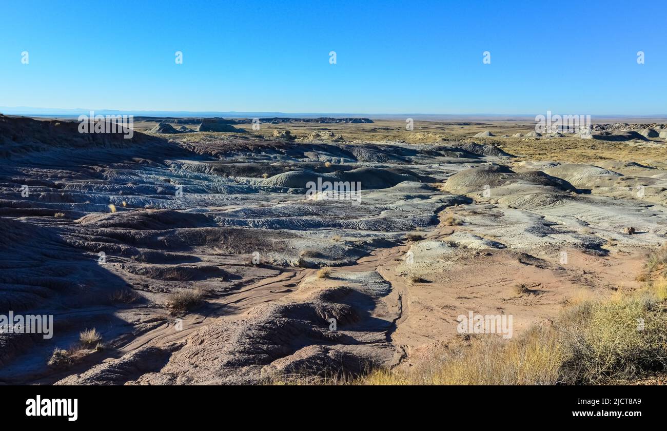 Landscape and panorama of erosive multi-colored clay in Petrified ...