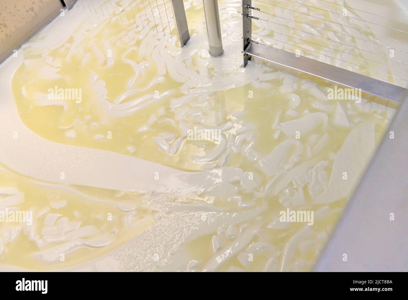 Artisan production of cheese, curd cutting and whey in the factory's ...