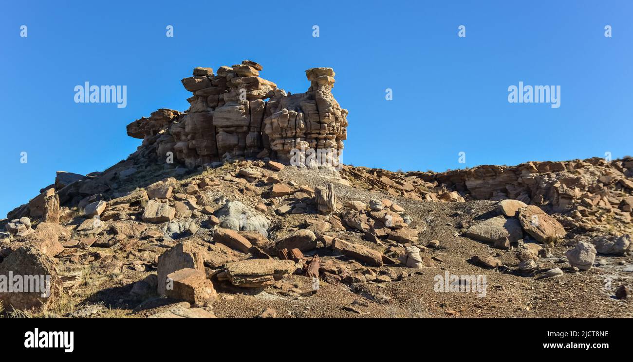 The Painted Desert on a sunny day. Diverse sedimentary rocks and clay ...