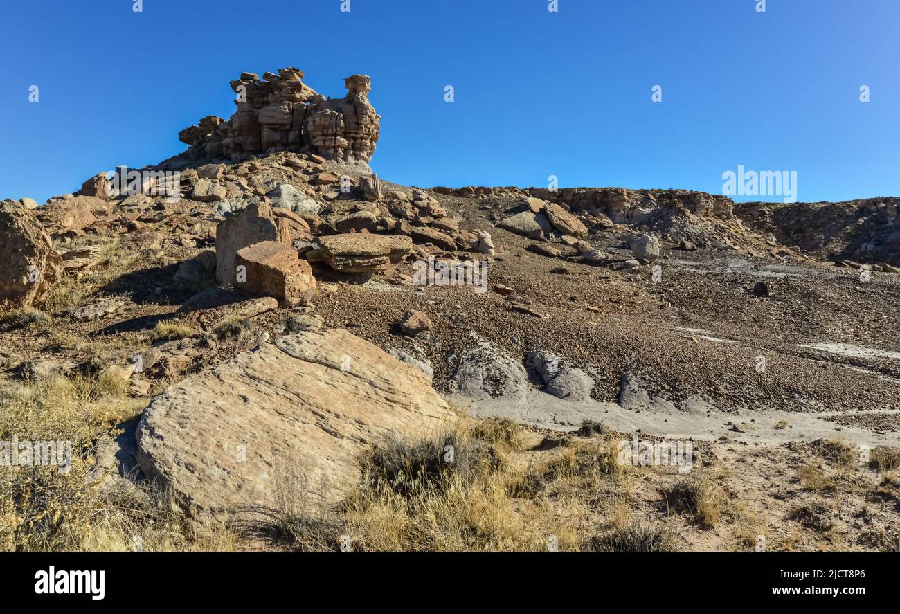 The Painted Desert on a sunny day. Diverse sedimentary rocks and clay ...