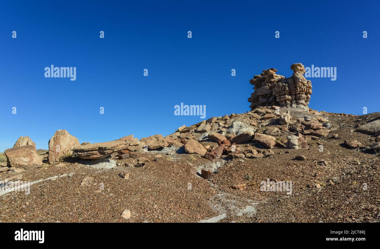 The Painted Desert on a sunny day. Diverse sedimentary rocks and clay ...