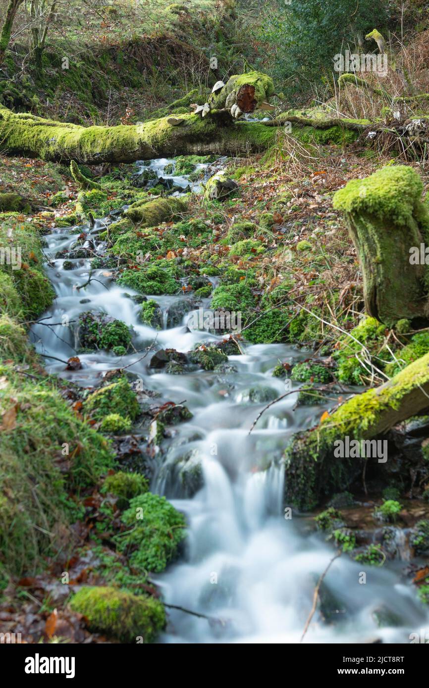water in motion Stock Photo - Alamy