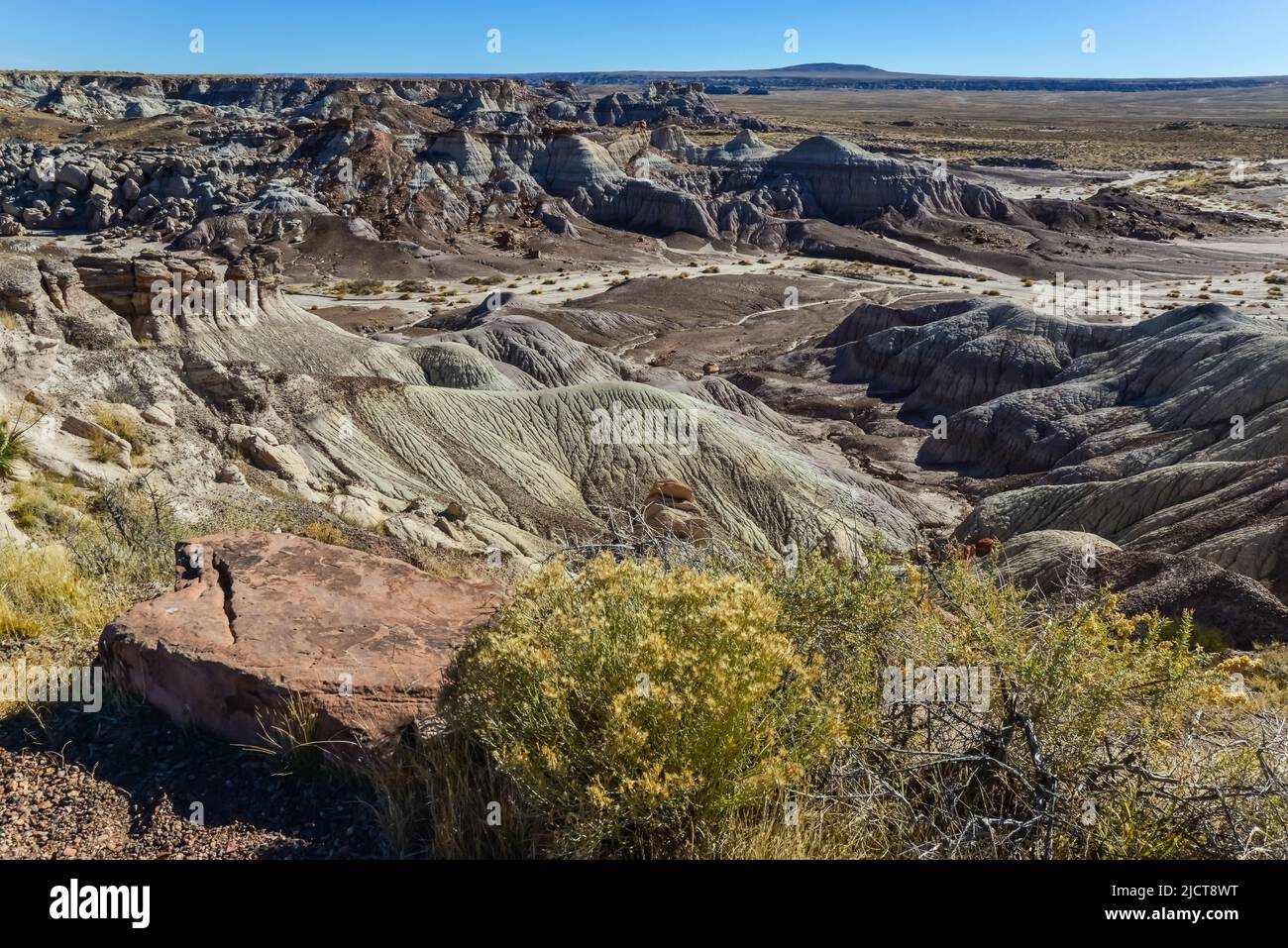 The Painted Desert on a sunny day. Diverse sedimentary rocks and clay ...