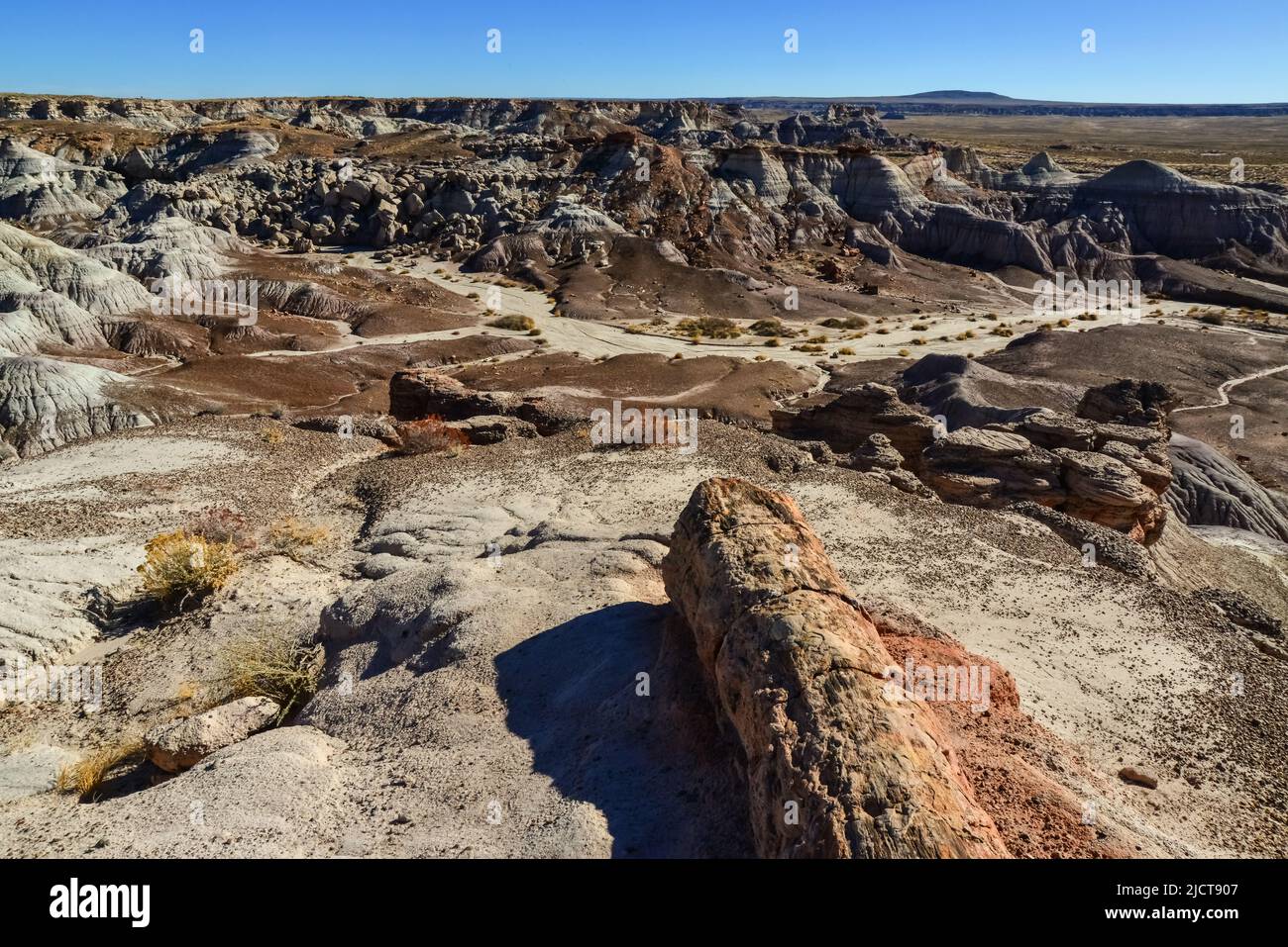 The Painted Desert on a sunny day. Diverse sedimentary rocks and clay ...