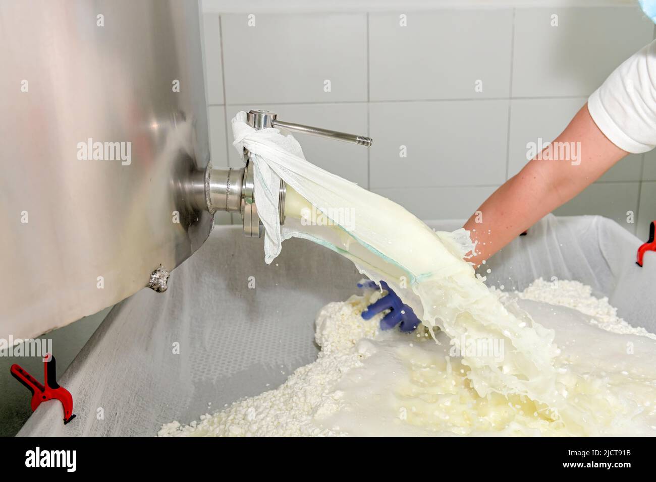 On the processing table, the whey is separated from the curd Stock ...