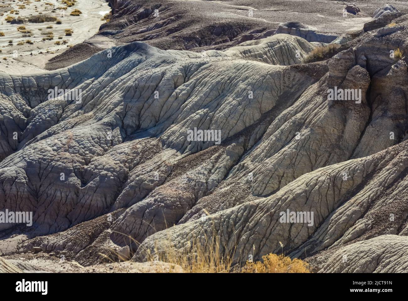 The Painted Desert on a sunny day. Diverse sedimentary rocks and clay ...
