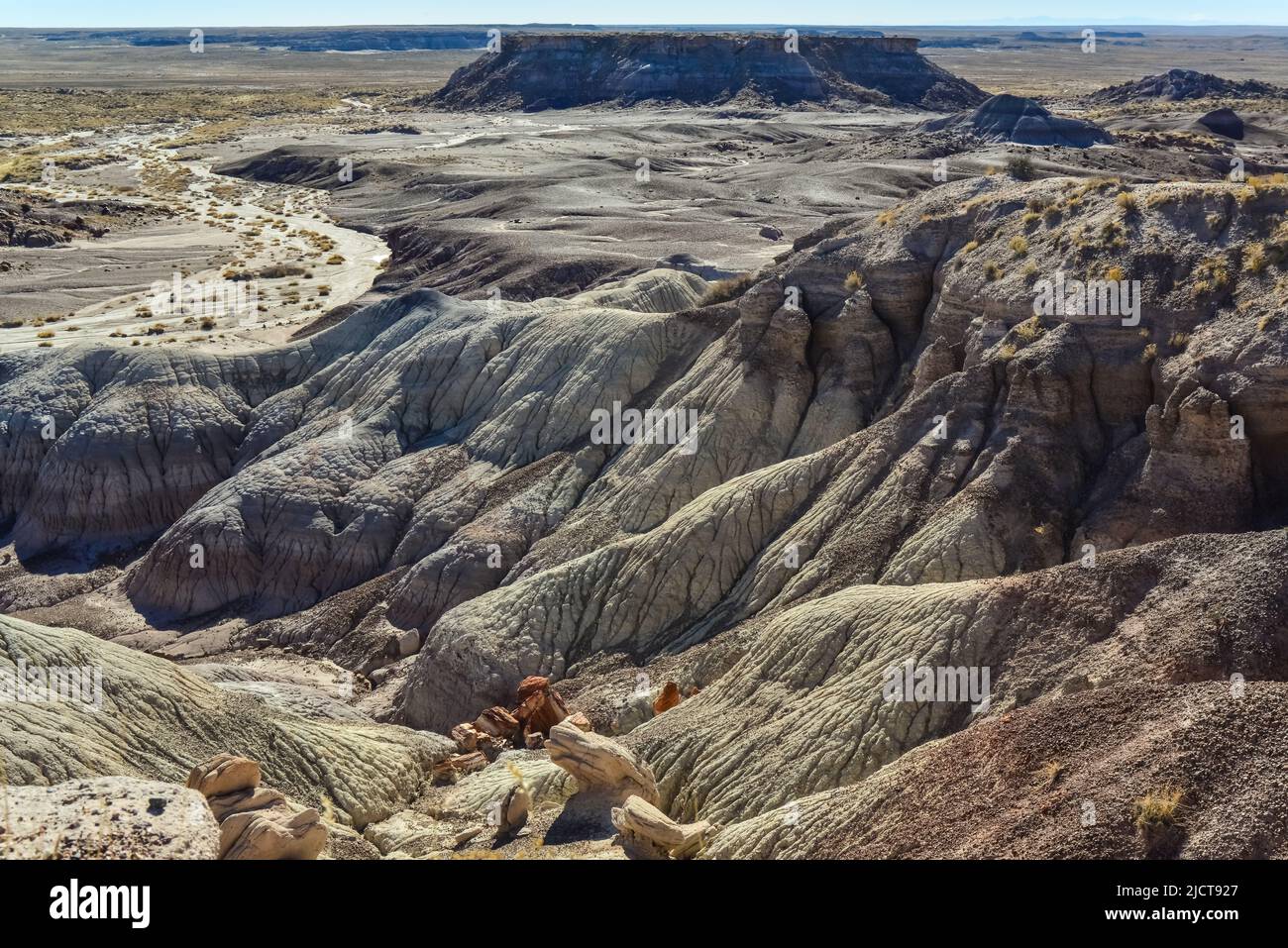 The Painted Desert on a sunny day. Diverse sedimentary rocks and clay ...