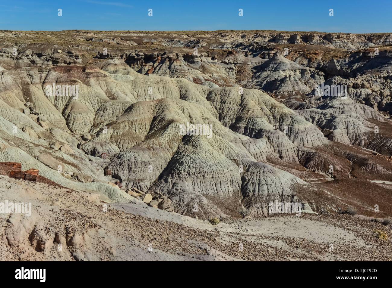 The Painted Desert on a sunny day. Diverse sedimentary rocks and clay ...