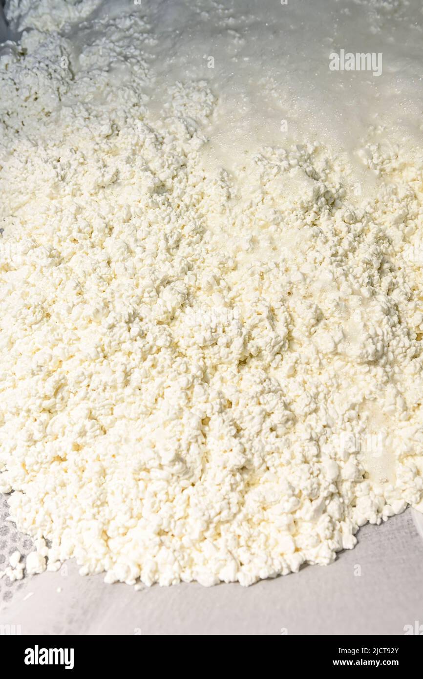 Curd And Whey