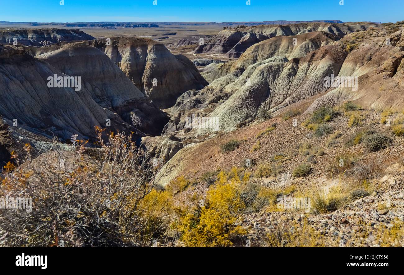 The Painted Desert on a sunny day. Diverse sedimentary rocks and clay ...