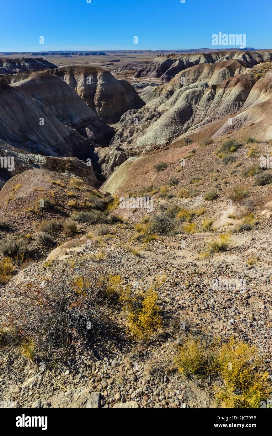 The Painted Desert on a sunny day. Diverse sedimentary rocks and clay ...