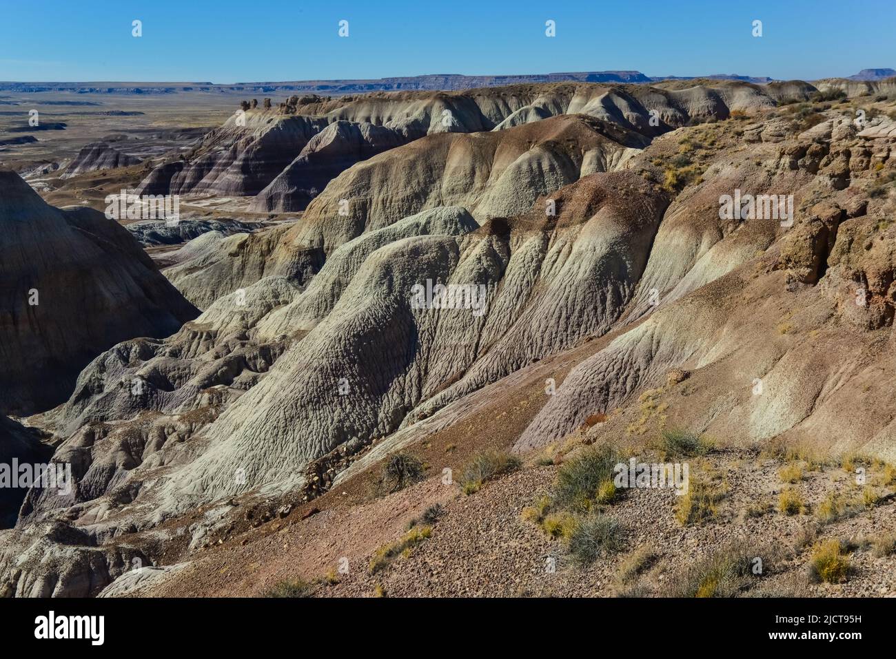 The Painted Desert on a sunny day. Diverse sedimentary rocks and clay ...