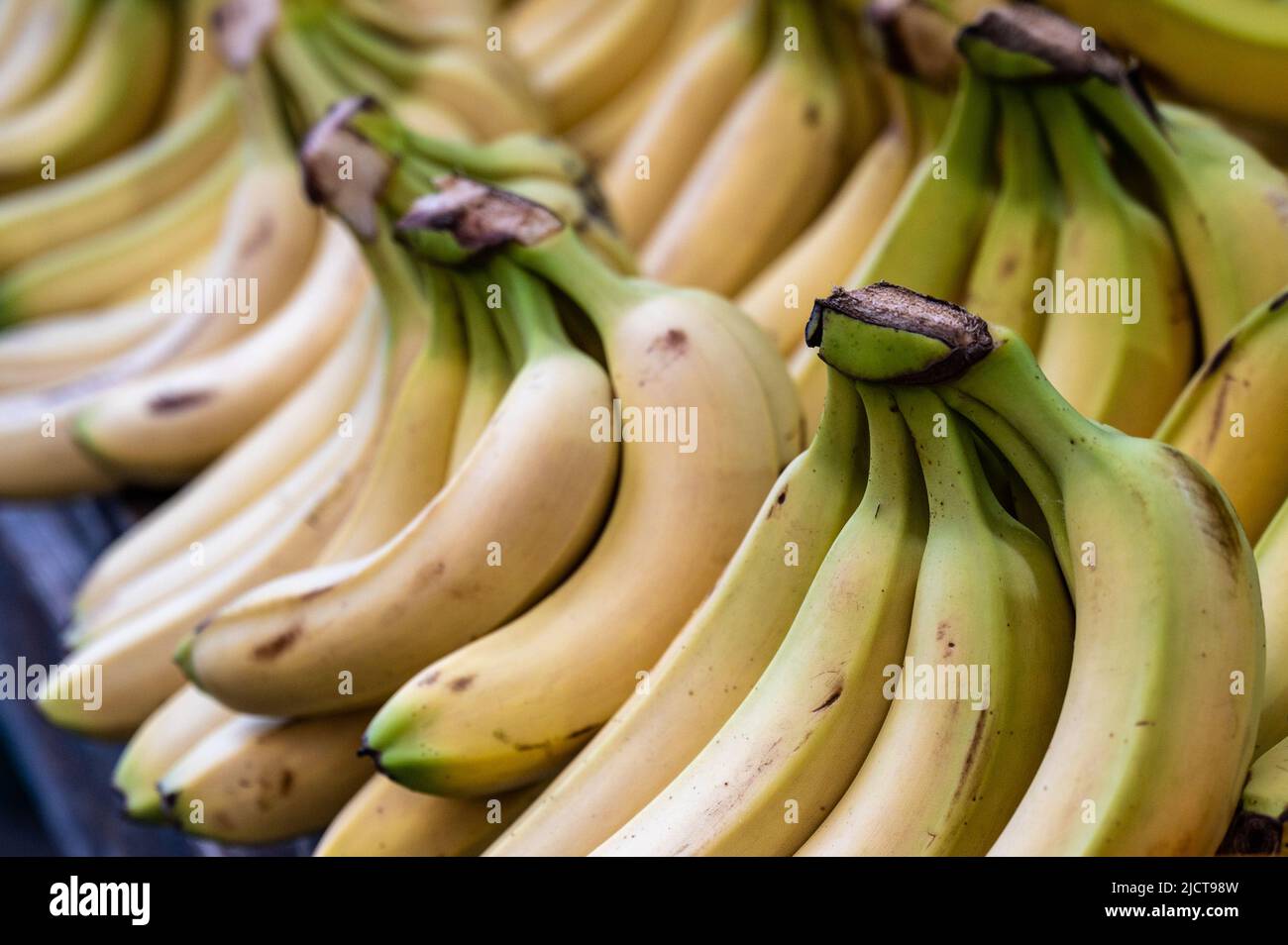 Ripe bananas ready to be sold at fruit market Stock Photo - Alamy