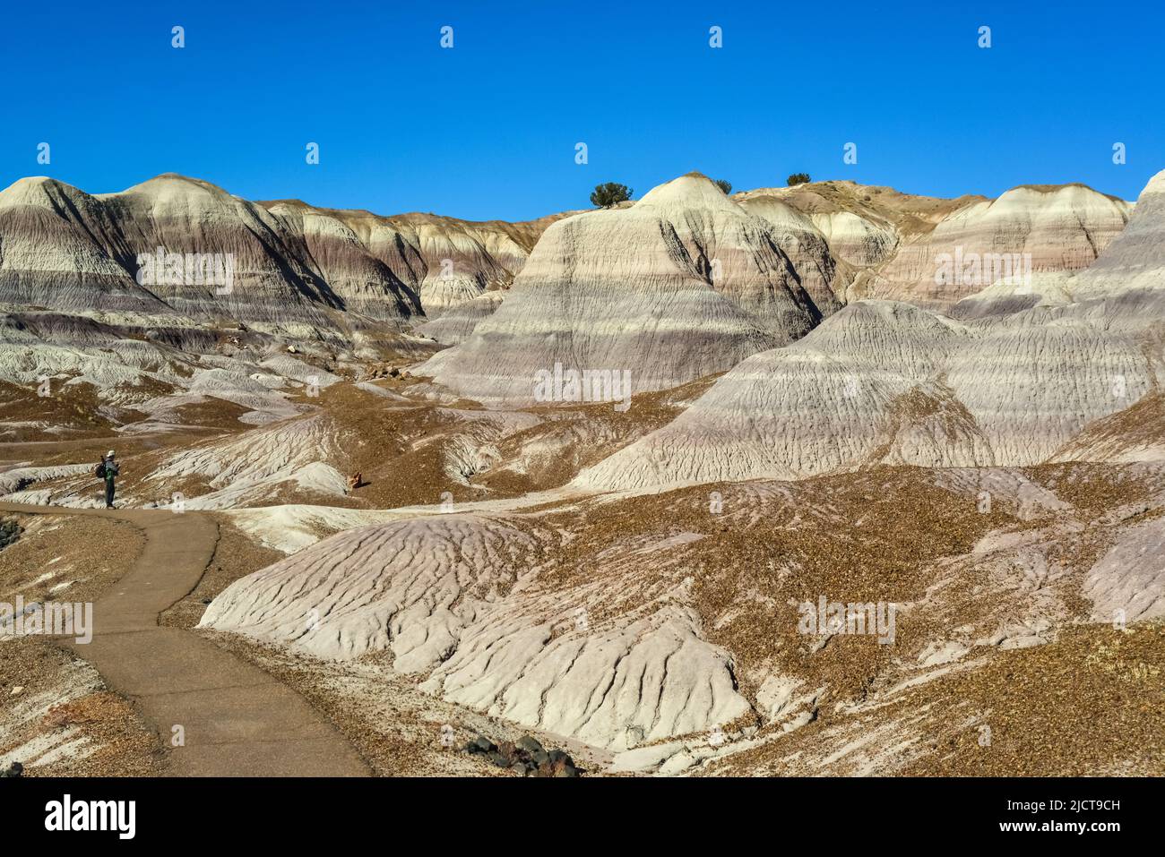 The Painted Desert on a sunny day. Diverse sedimentary rocks and clay ...
