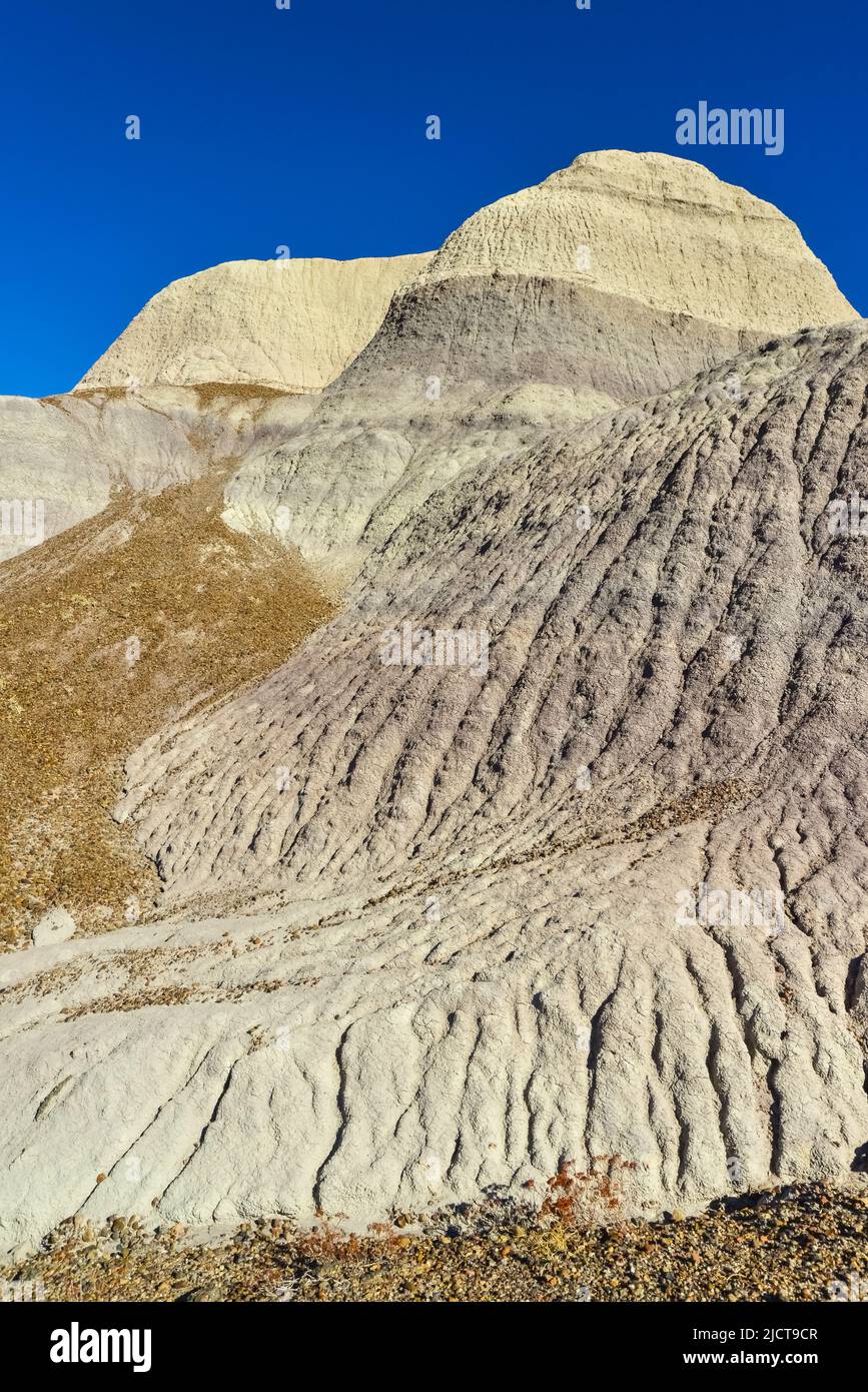 The Painted Desert on a sunny day. Diverse sedimentary rocks and clay ...