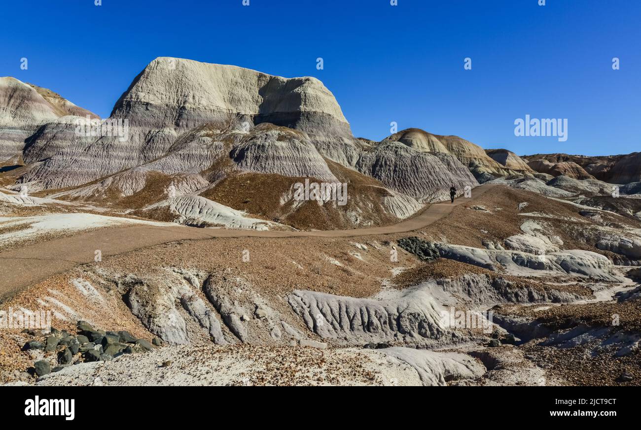 The Painted Desert on a sunny day. Diverse sedimentary rocks and clay ...