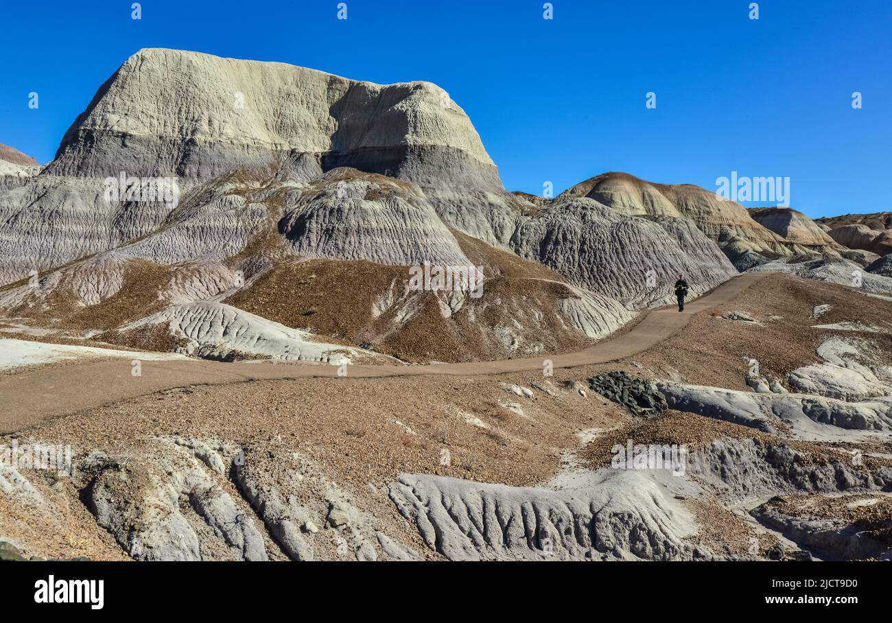 USA, ARIZONA- NOVEMBER 18, 2019: The Painted Desert on a sunny day ...