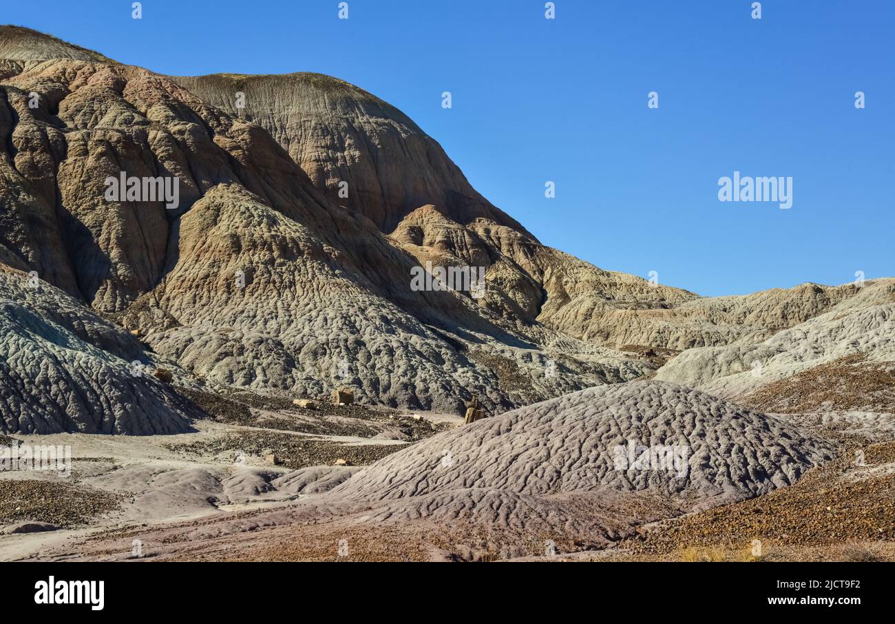 The Painted Desert on a sunny day. Diverse sedimentary rocks and clay ...