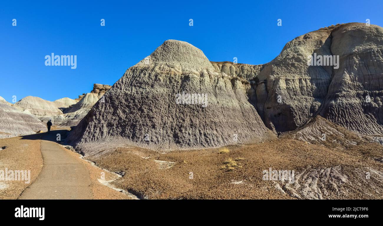 The Painted Desert on a sunny day. Diverse sedimentary rocks and clay ...