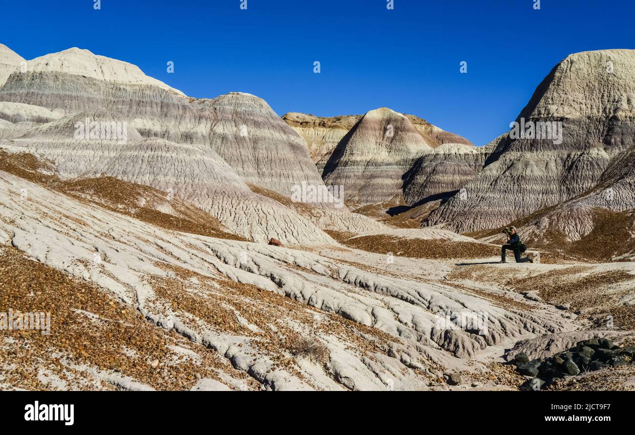 The Painted Desert on a sunny day. Diverse sedimentary rocks and clay ...