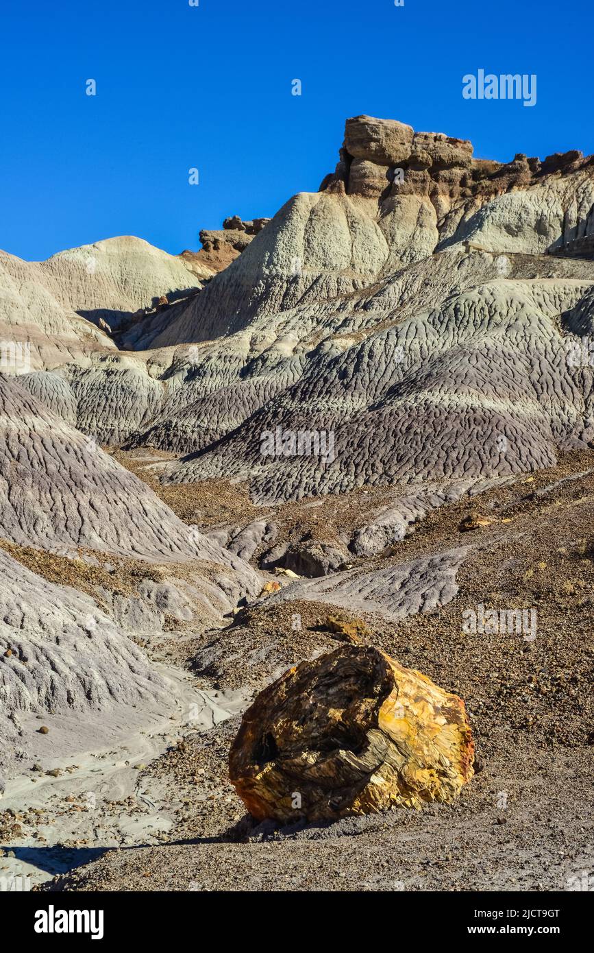 The Painted Desert on a sunny day. Diverse sedimentary rocks and clay ...