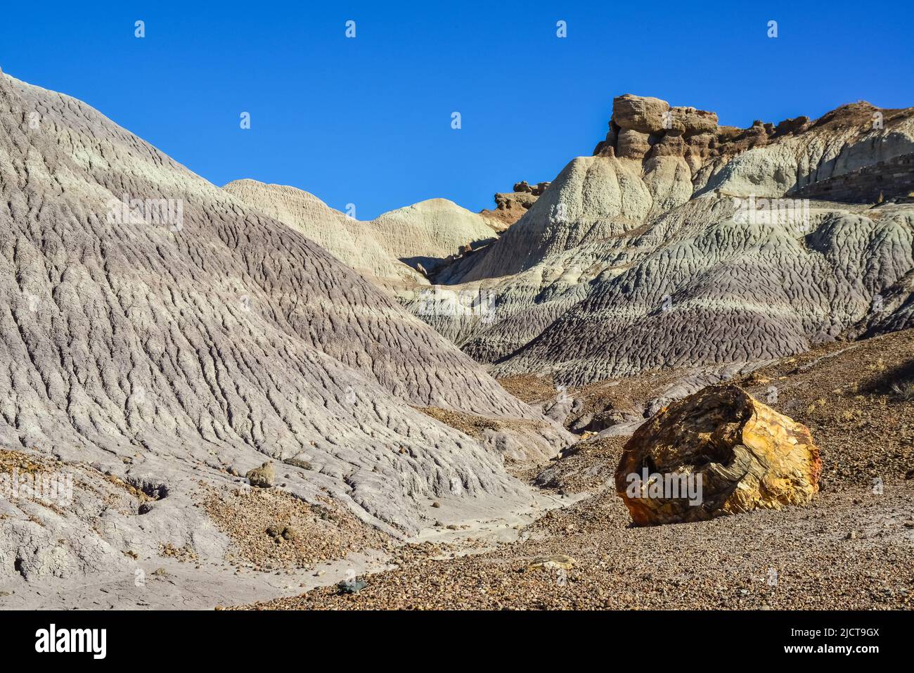 The Painted Desert on a sunny day. Diverse sedimentary rocks and clay ...