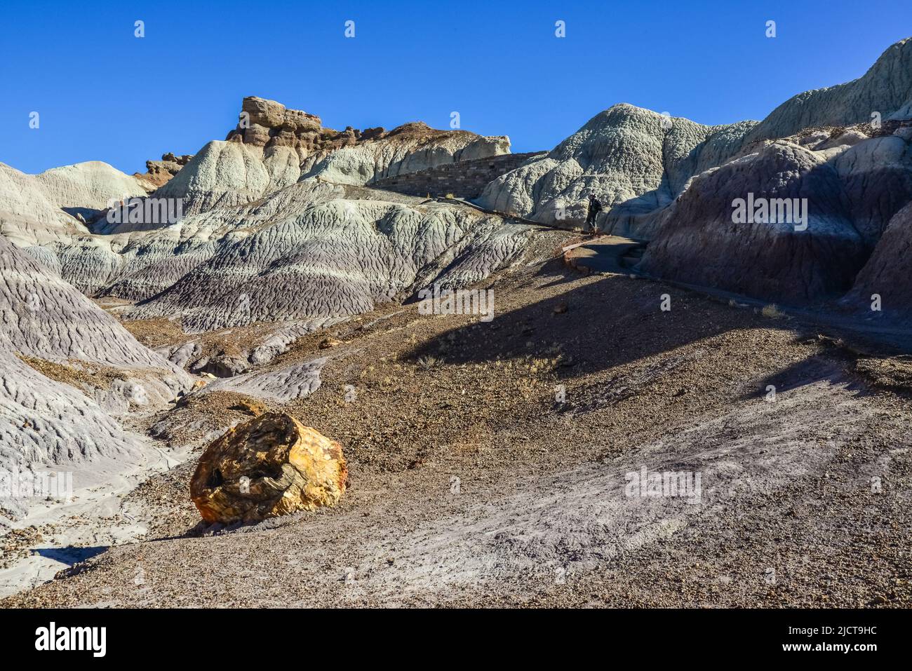 The Painted Desert on a sunny day. Diverse sedimentary rocks and clay ...
