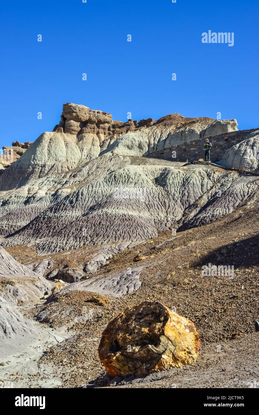 The Painted Desert on a sunny day. Diverse sedimentary rocks and clay ...