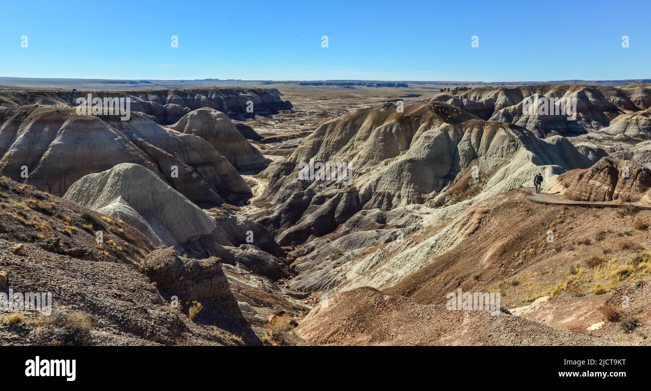 Paleozoic sedimentary rocks hi-res stock photography and images - Alamy