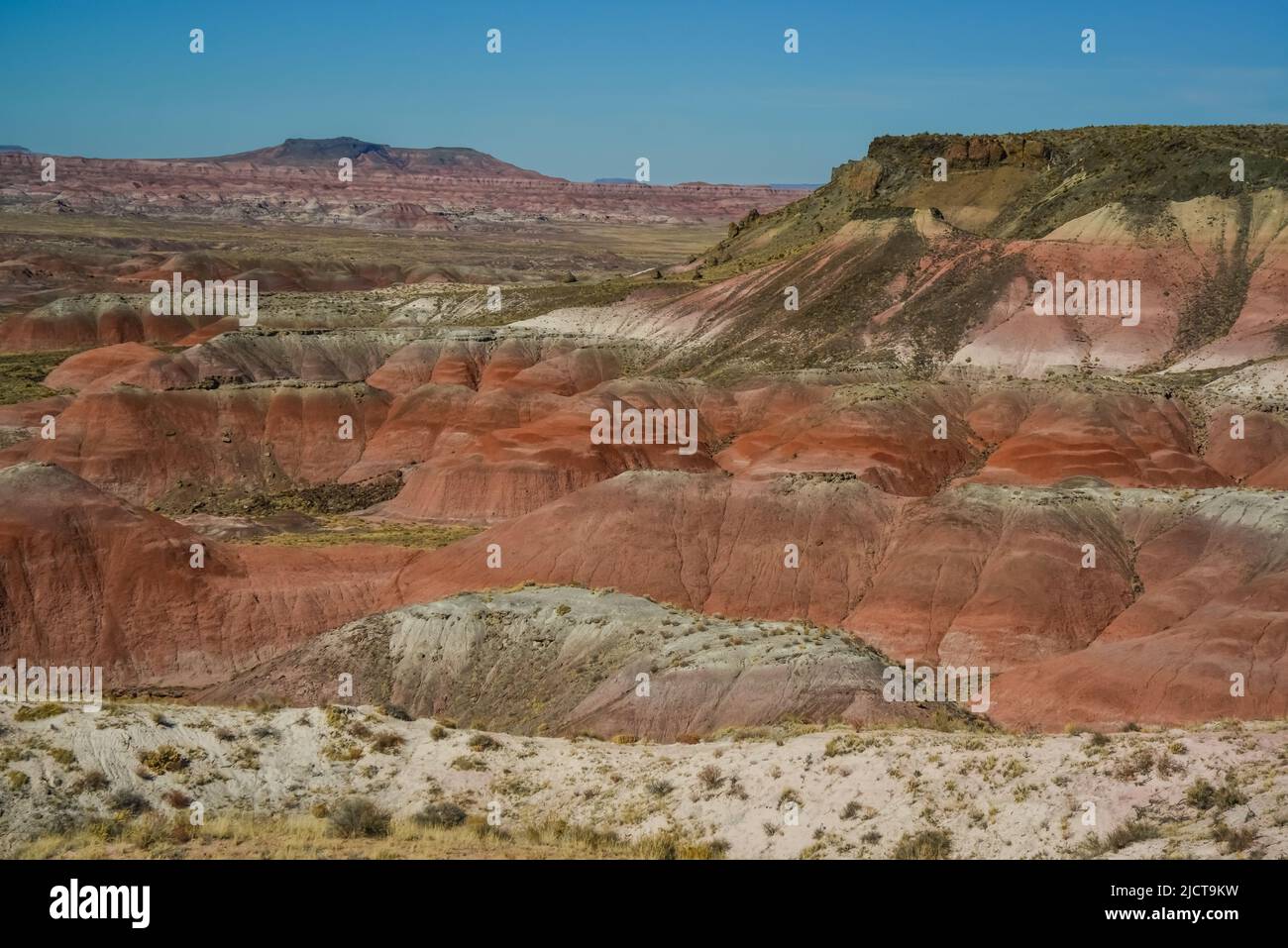 Arizona mountain eroded landscape, Petrified Forest National Wilderness Area and Painted Desert ...