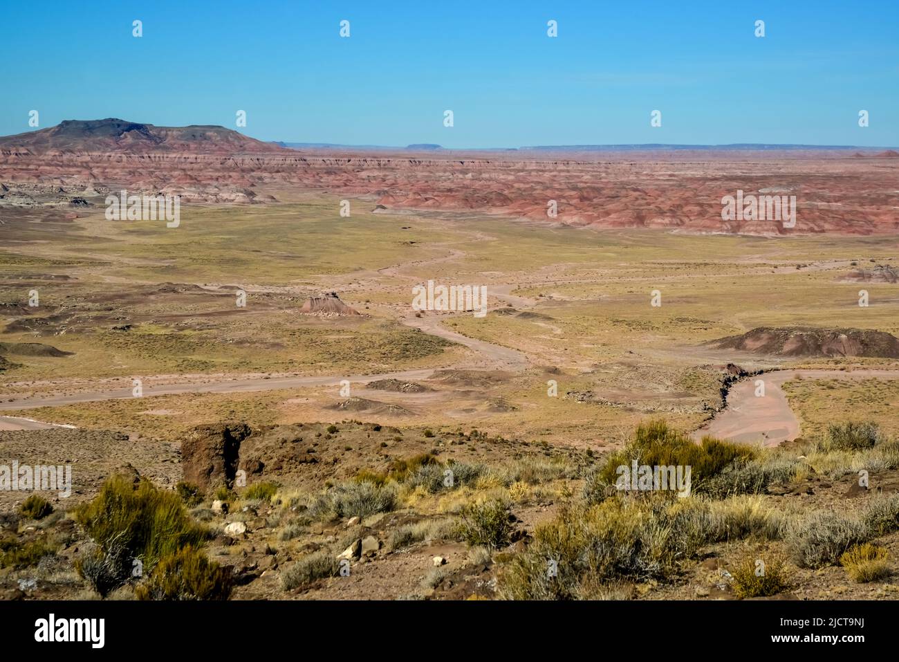 Arizona mountain eroded landscape, Petrified Forest National Wilderness ...