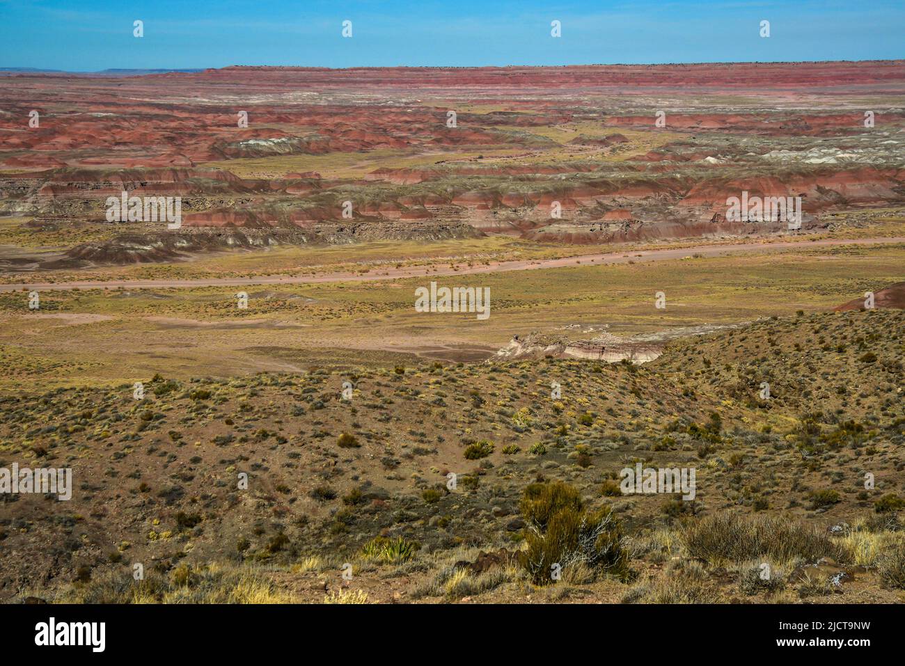 Arizona mountain eroded landscape, Petrified Forest National Wilderness ...
