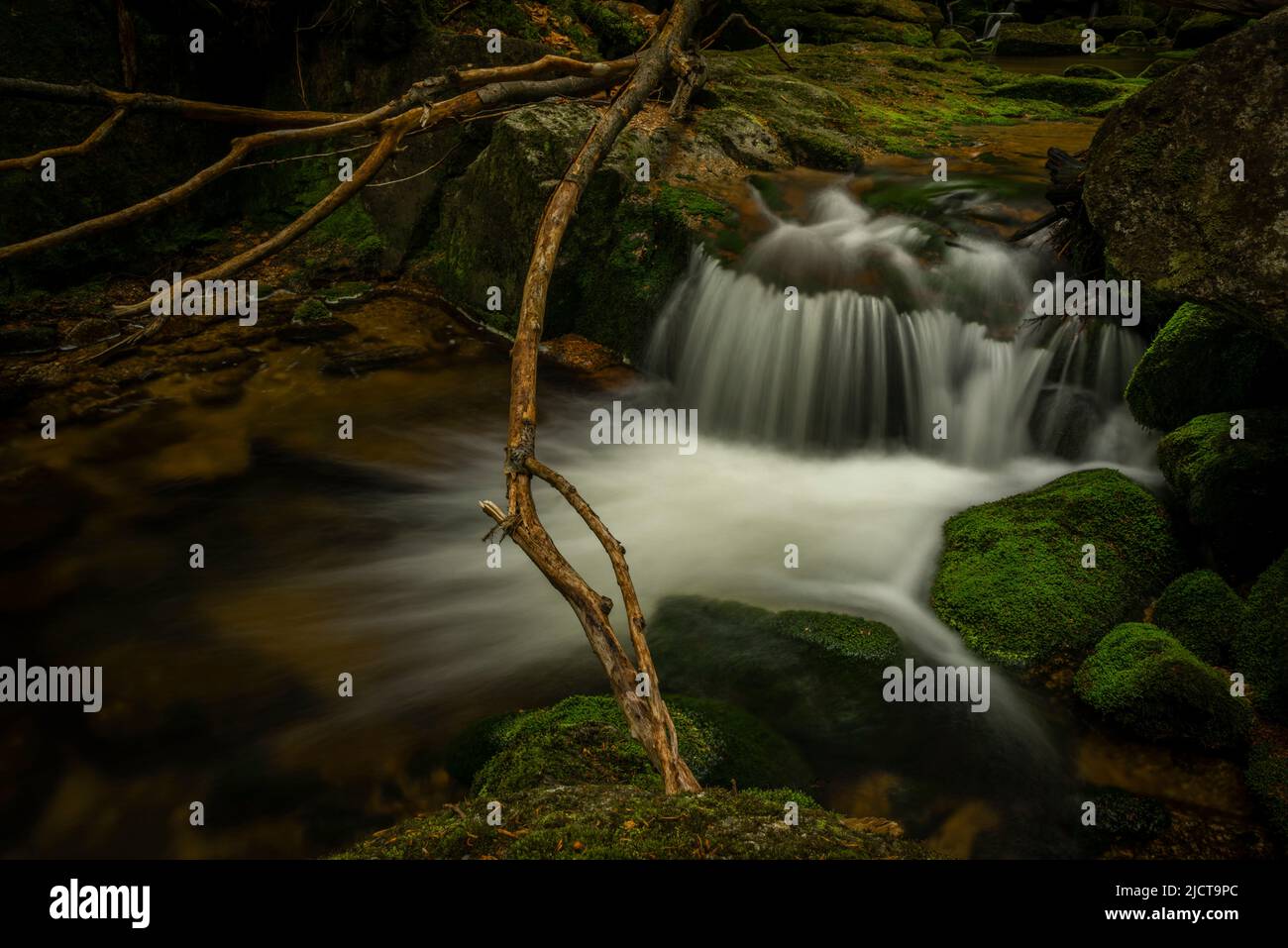 Jedlova creek in Jizerske mountains in spring cloudy morning Stock ...