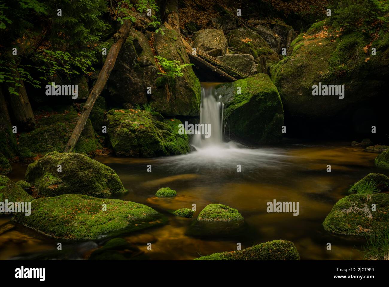 Jedlova creek in Jizerske mountains in spring cloudy morning Stock ...