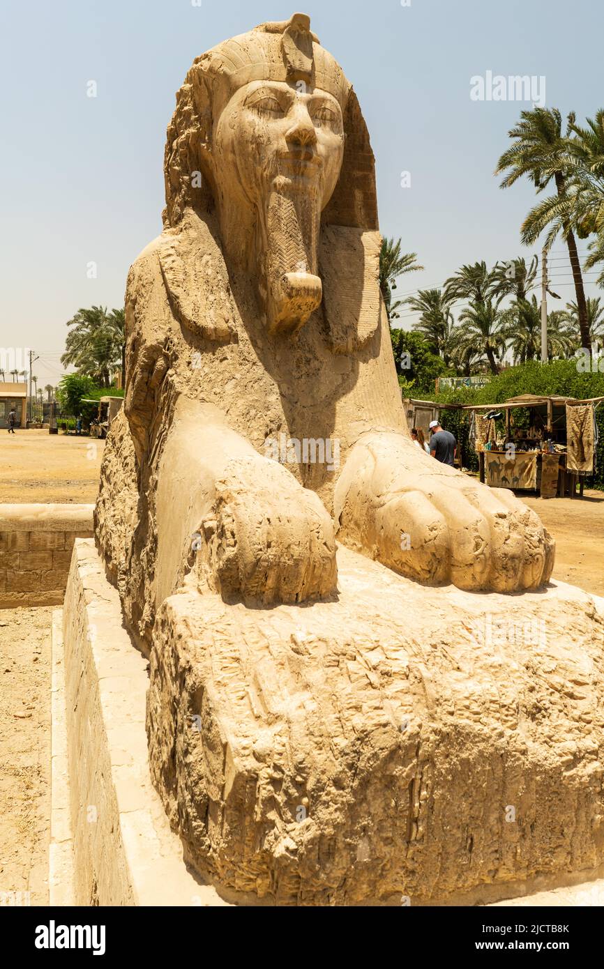Ramses Temple Memphis, Egypt Stock Photo - Alamy