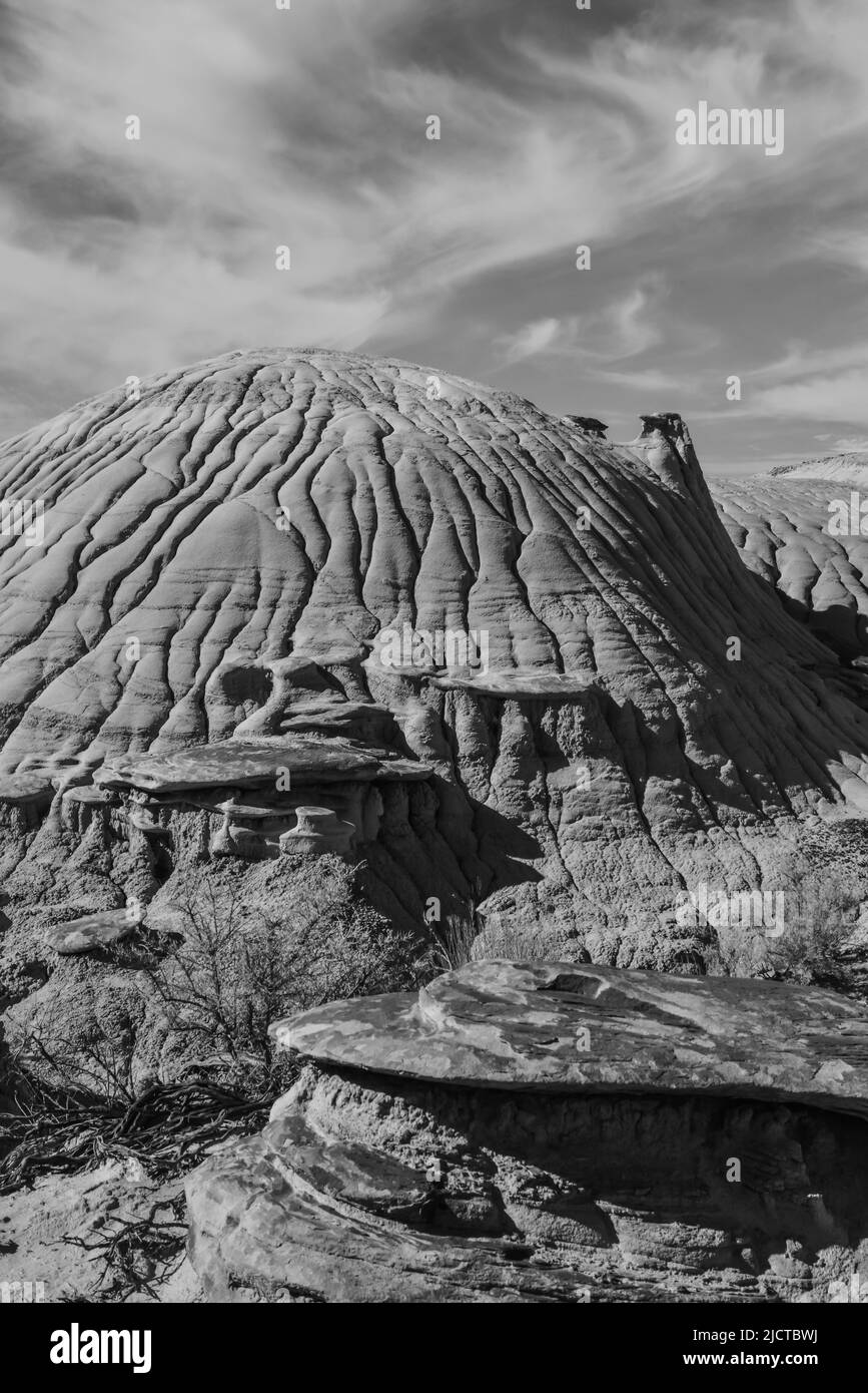 Study in nature near Black and White Stock Photos & Images - Alamy