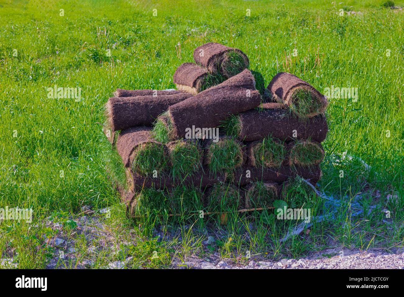 Close up view of rolled turf prepared for laying in garden. Sweden ...