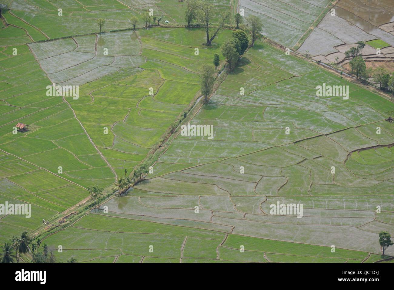 Paddy fields above hi-res stock photography and images - Alamy